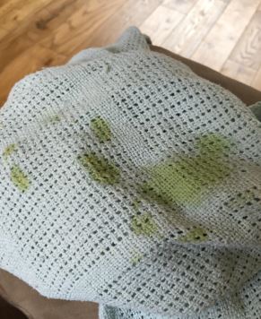 Gastroenteritis…again. – Clara and the Gutcracker